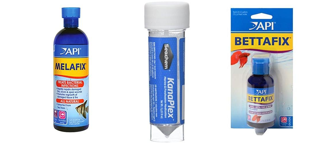 Top 5 Swim Bladder Treatments: A Buyer's Guide - The Saw Blog