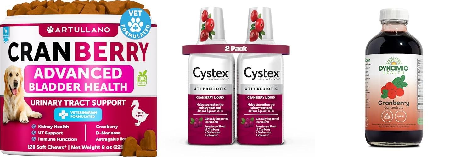 Top 5 Cranberry Juices for Bladder Infection Relief - The Saw Blog