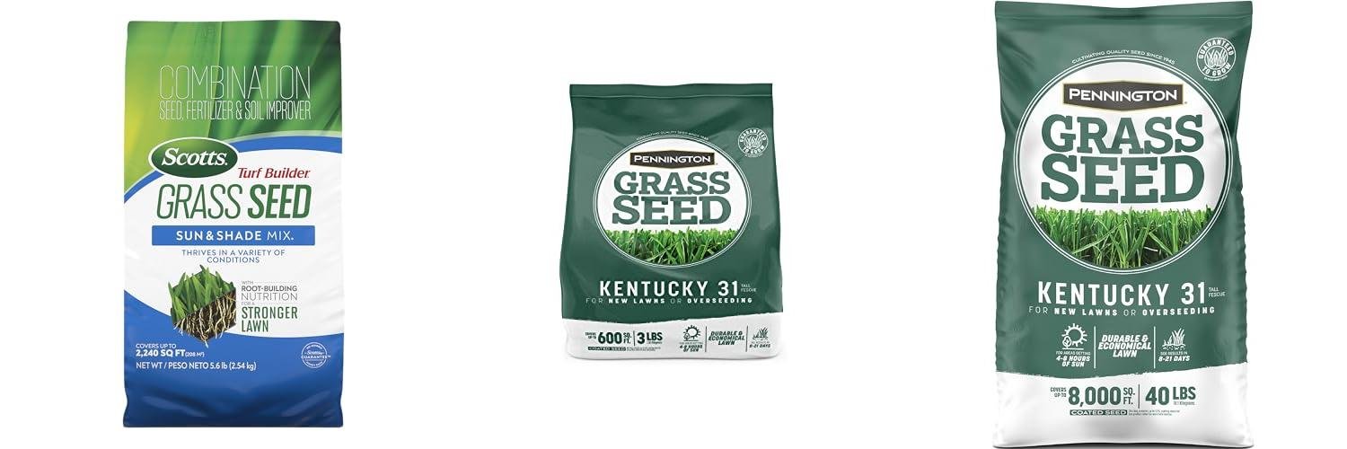 Top 5 Lawn Seed Picks: Your Best Green Lawn Guide