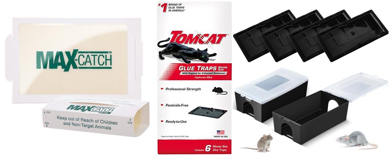 Top 5 Mice Traps: Your Ultimate Pest Control Guide