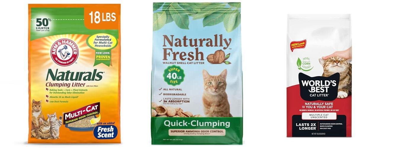 Best Natural Cat Litter - Top 5 Picks & Review - The Saw Blog