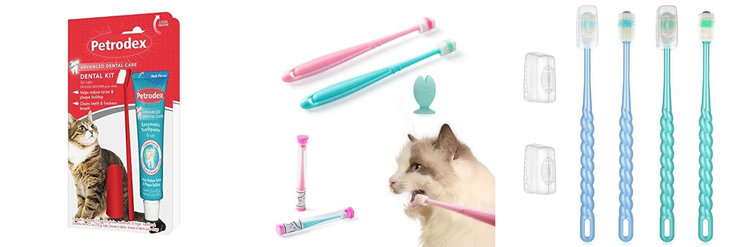Best Cat Toothbrush - Top 5 Picks & Review - The Saw Blog