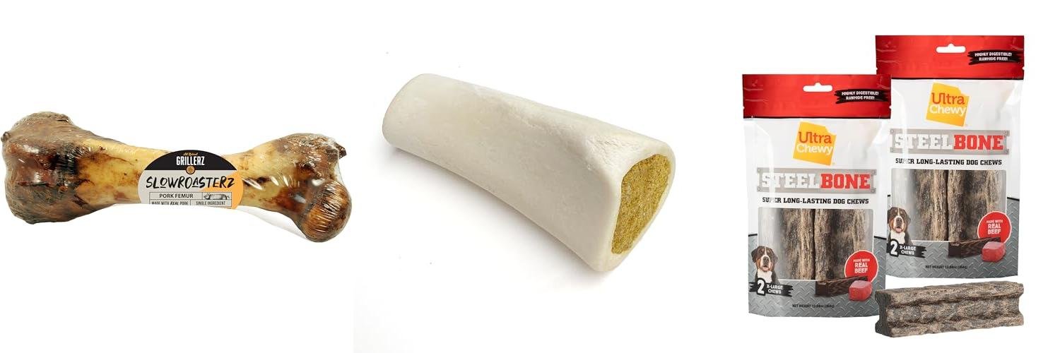 Best Dog Bone - Top 5 Picks & Review - The Saw Blog