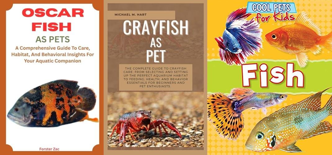 Best Fish As Pets - Top 5 Picks & Review - The Saw Blog