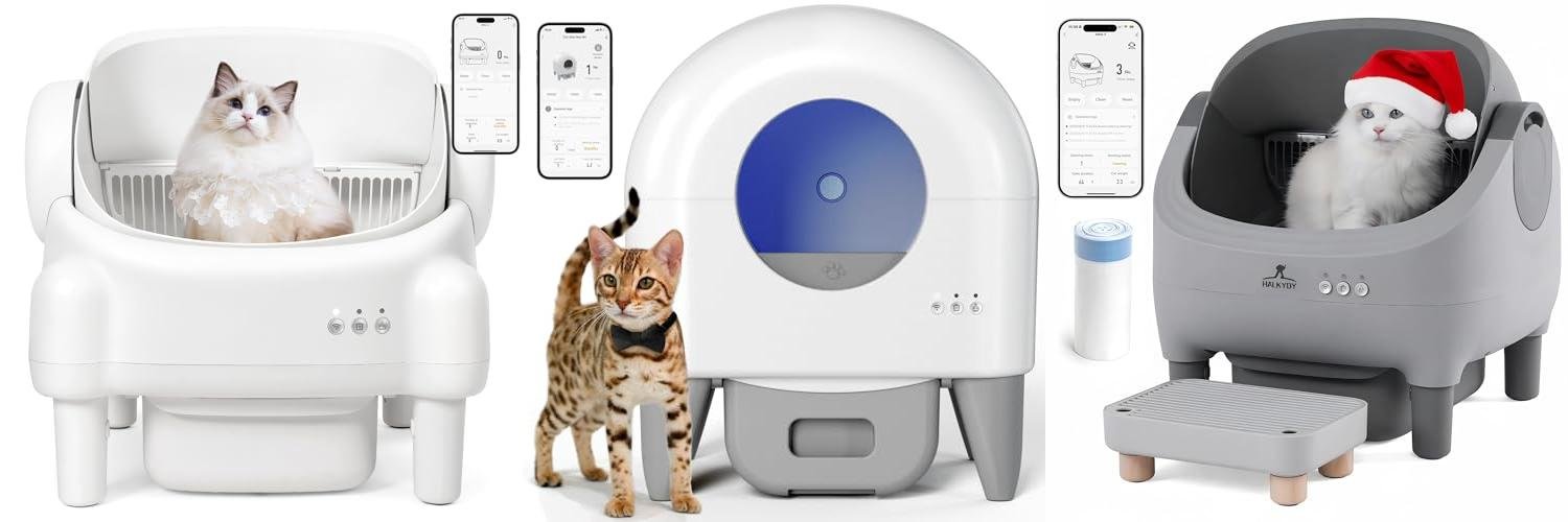 Best Self Cleaning Litter Box Reddit