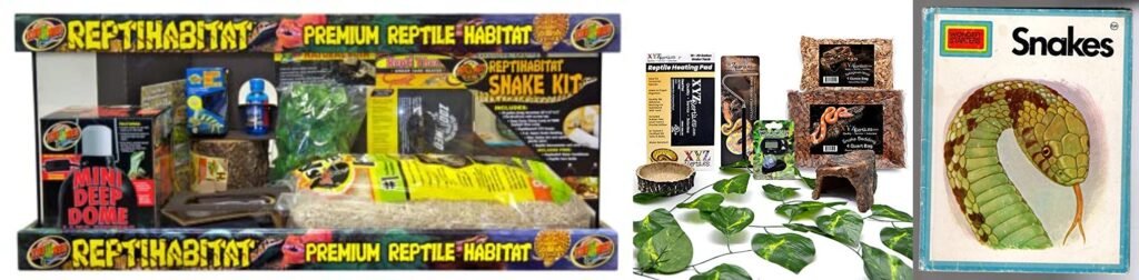 Best Starter Snake - Top 5 Picks & Review - The Saw Blog